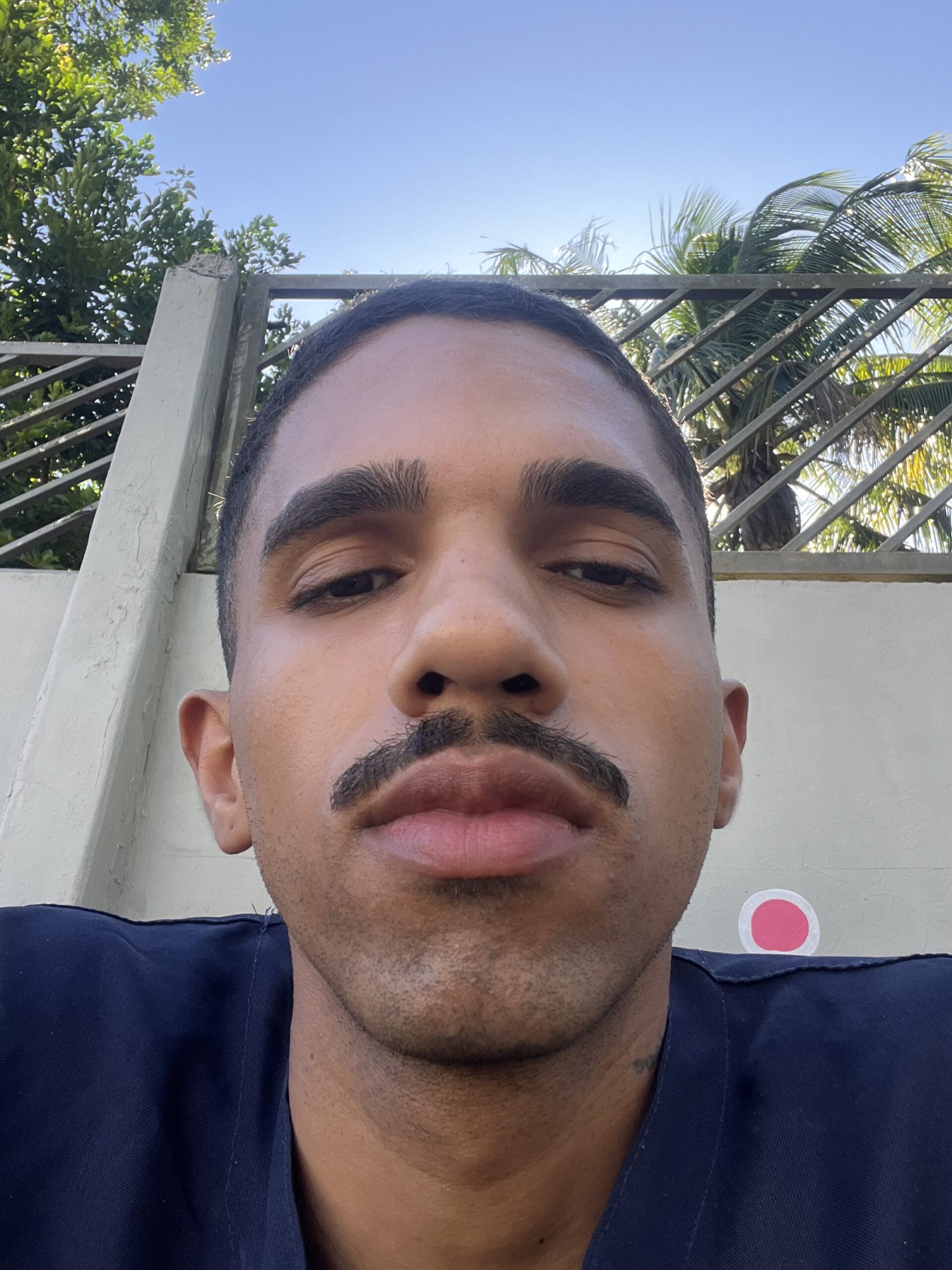 Daniel Ferreira da silva - Social Foody